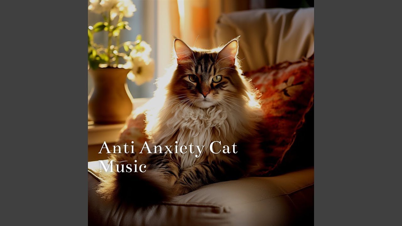 music-cats-love-youtube