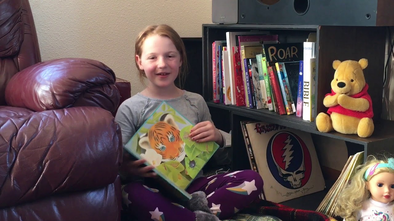 Tavi Tiger book and Usborne Peek Inside a Fairy Tale Cinderella book ...