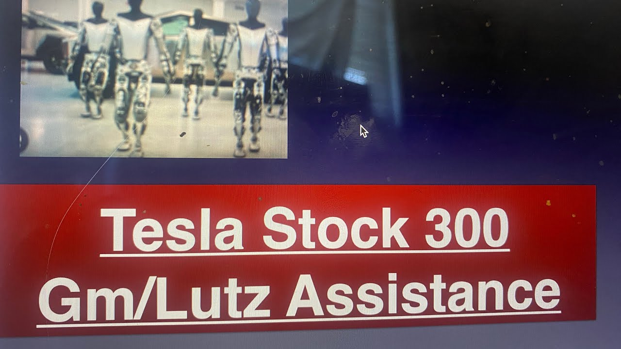 Tesla 300 GM/Lutz Help 5 reasons 2024! (b367) - YouTube