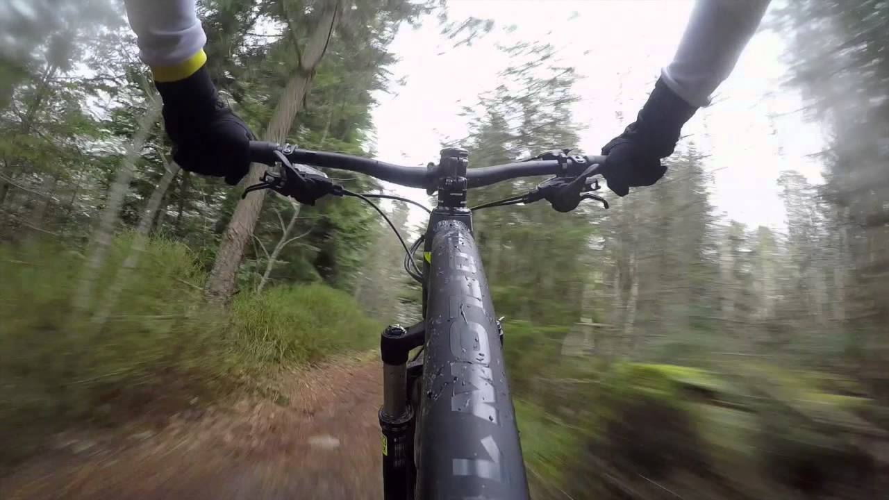 BULLS WILD FLOW - YouTube