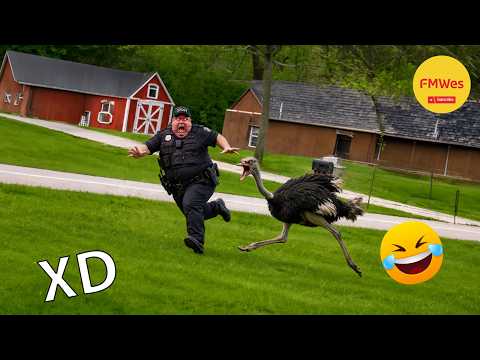 VIDEOS DE RISA 🤣 SI TE RÍES PIERDES NIVEL DIOS #758 😎HUMOR VIRAL MEXICANO🤣