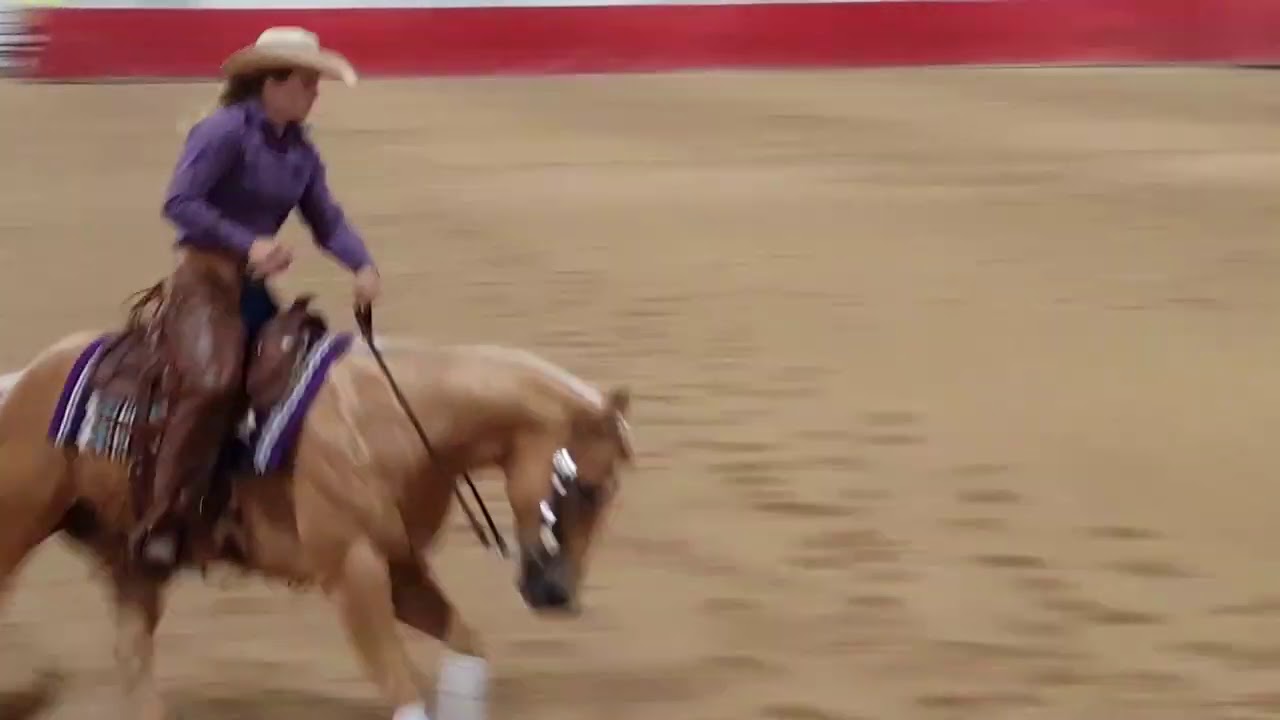 NRHA Rookie Level 1, 2, Green Reiner Level 2 high roller reining ...