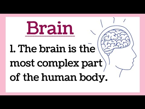 Brain 10 Lines Essay writing in English, short note, paragraph or speech 120 words - YouTube