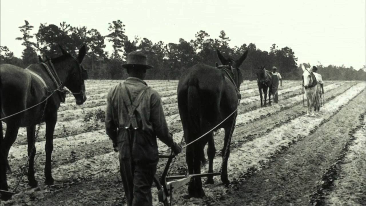 Finding Your Roots Season 3, Episode 3 PREVIEW - YouTube