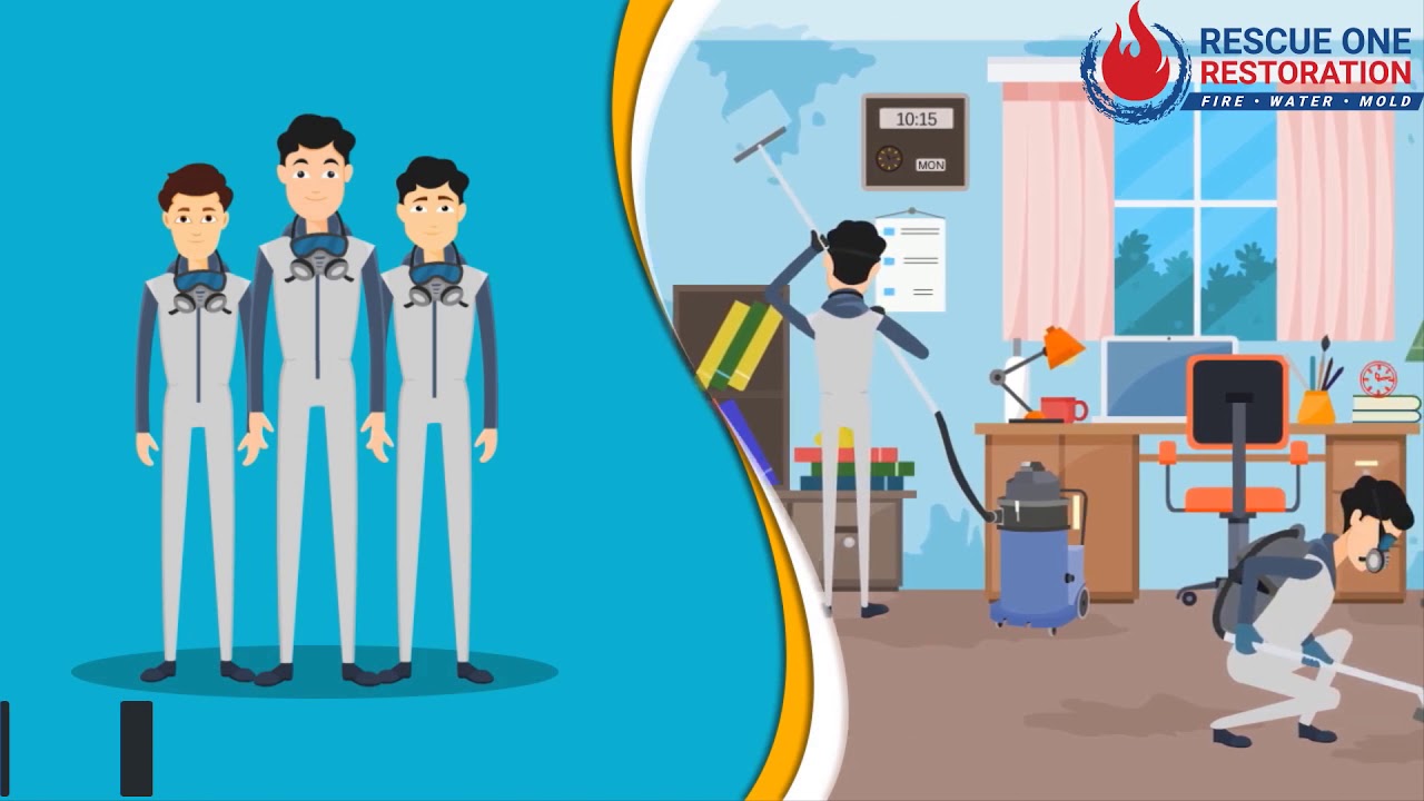 Mold Remediation 2D Animation Promo Video - YouTube