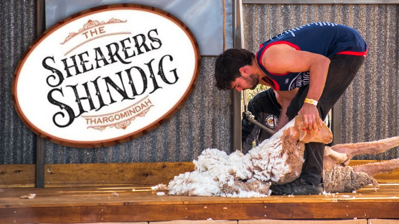 The Sheerers Shindig, Thargomindah - YouTube