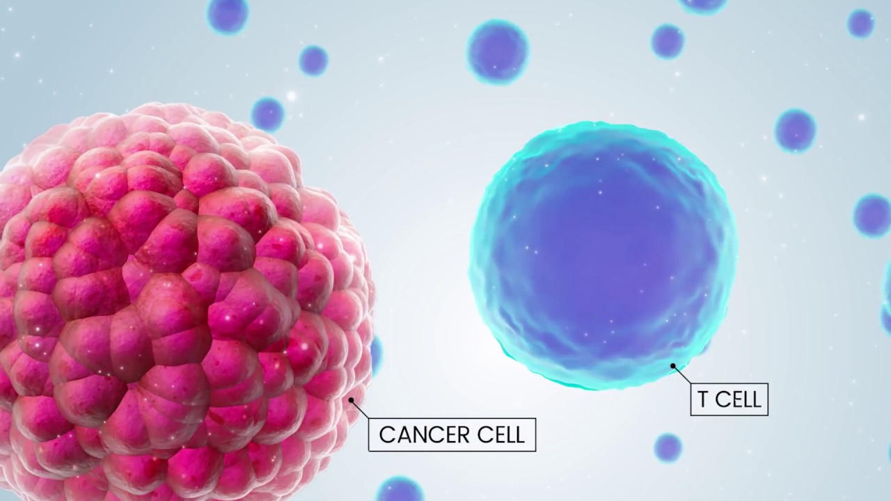 Compugen, FROM CODE TO CURE TM - YouTube