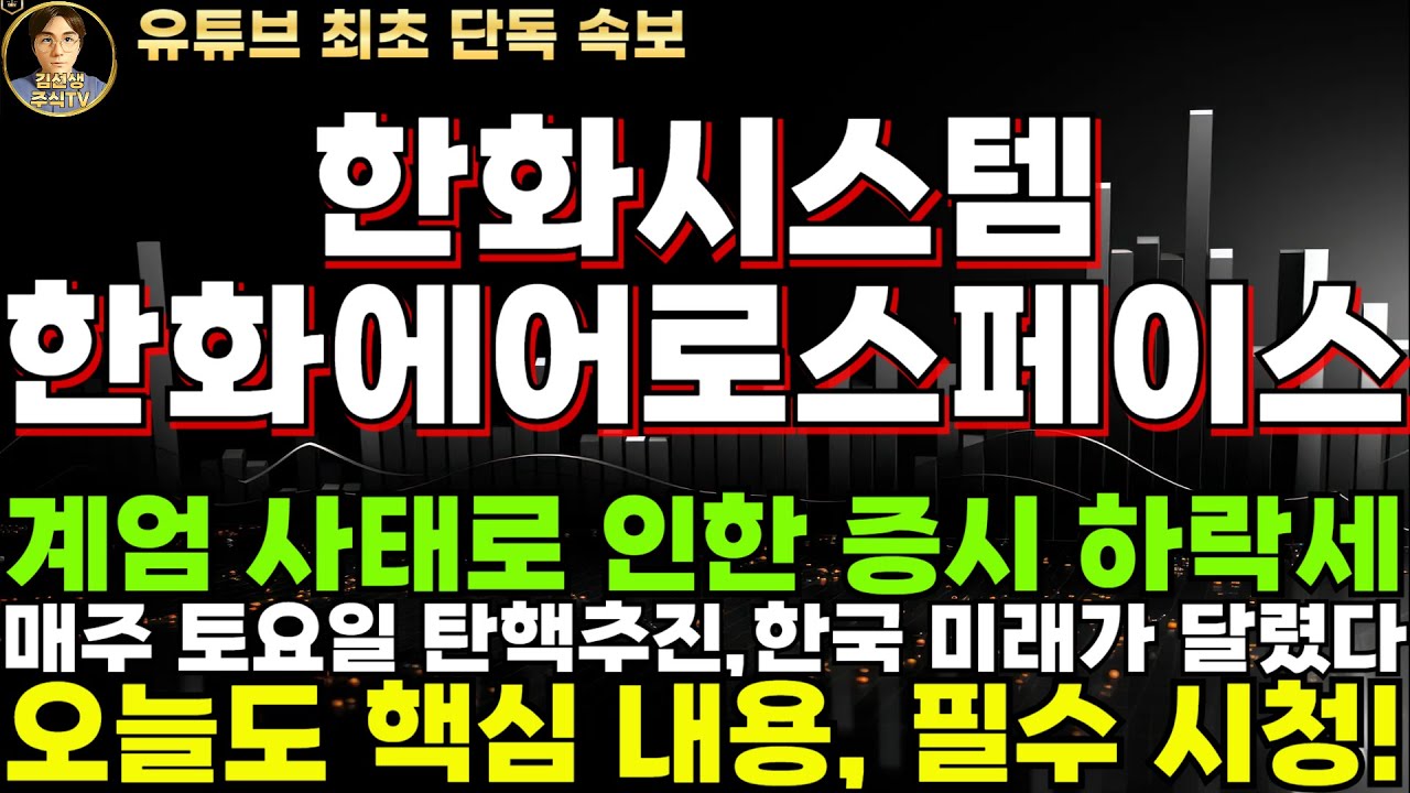 한화시스템 한화에어로스페이스 주가전망 계엄 사태로 인한 증시 하락세 매주 토요일 탄핵 추진 한국의 미래가 달린 문제입니다