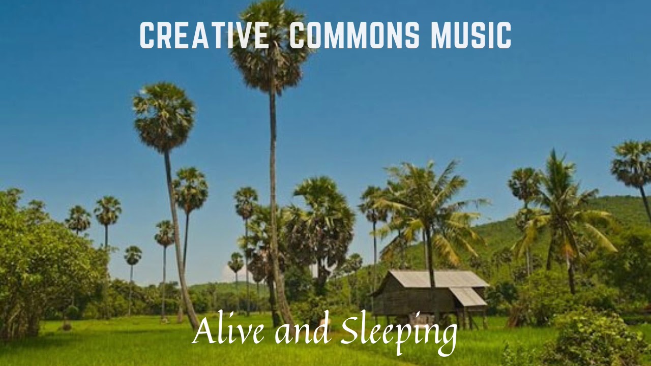 Alive and Sleeping | creative commons music - YouTube