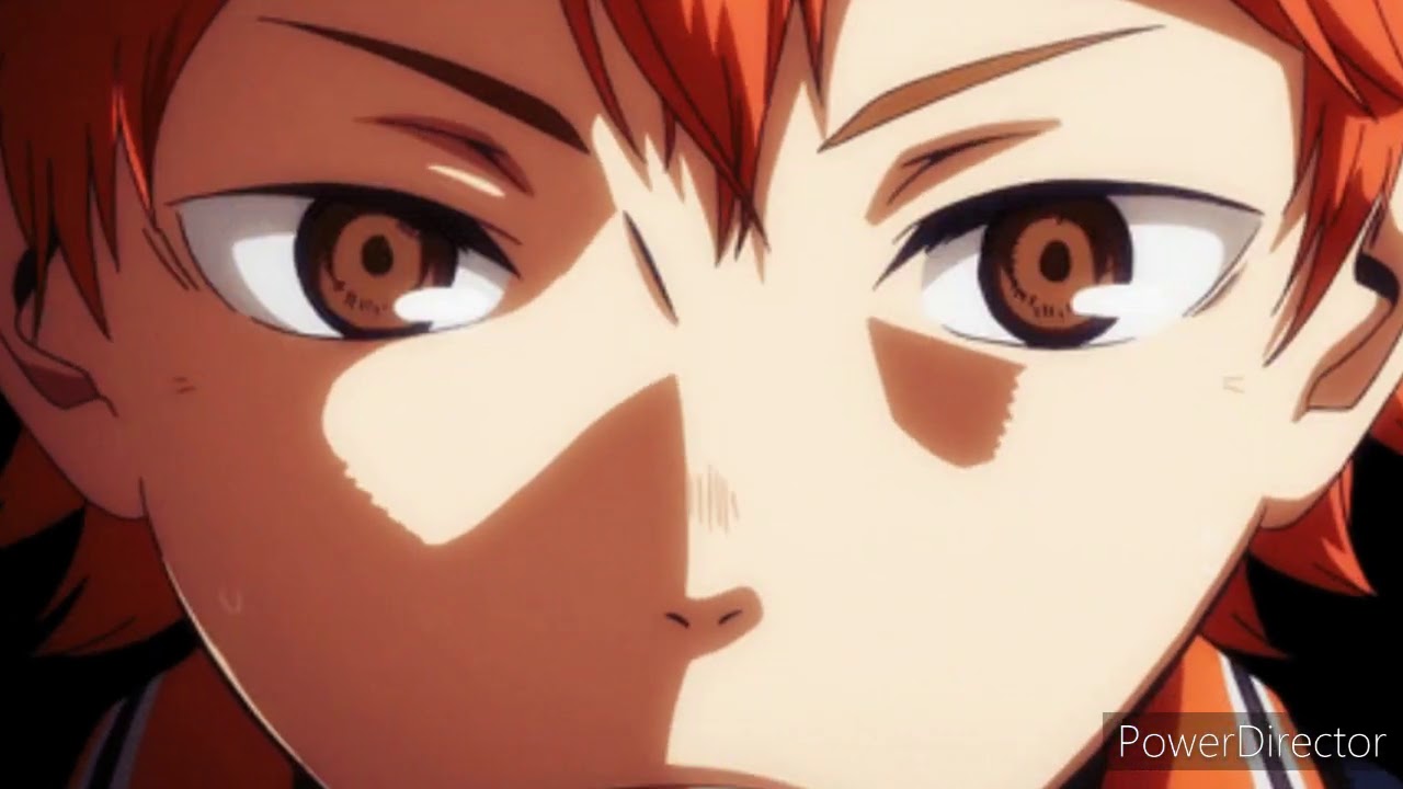 Hinata Shoyo,Nishinoya Yuu,Nagisa Shiota,Todoroki Shoto,Natsu Dragoneel ...