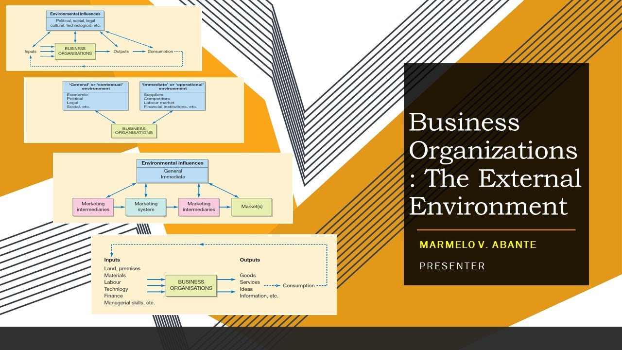 Business Organizations: The External Environment - YouTube
