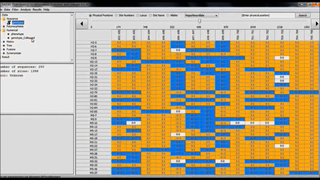 Association mapping using TASSEL - YouTube