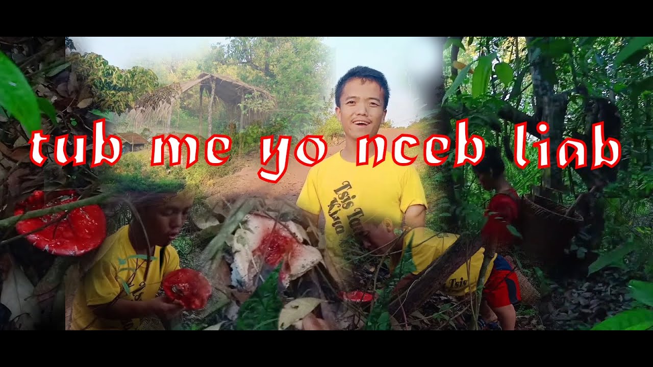 tub teem tiab thiab tub teem tiab tu muam mu nrhov nceb laib - YouTube