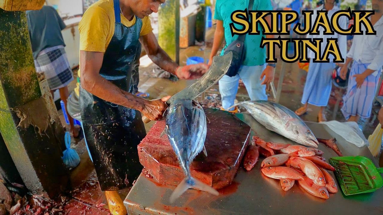 Wow !! Amazing Cutting !! Skipjack Tuna Fish Cutting Sri Lanka Beruwala ...