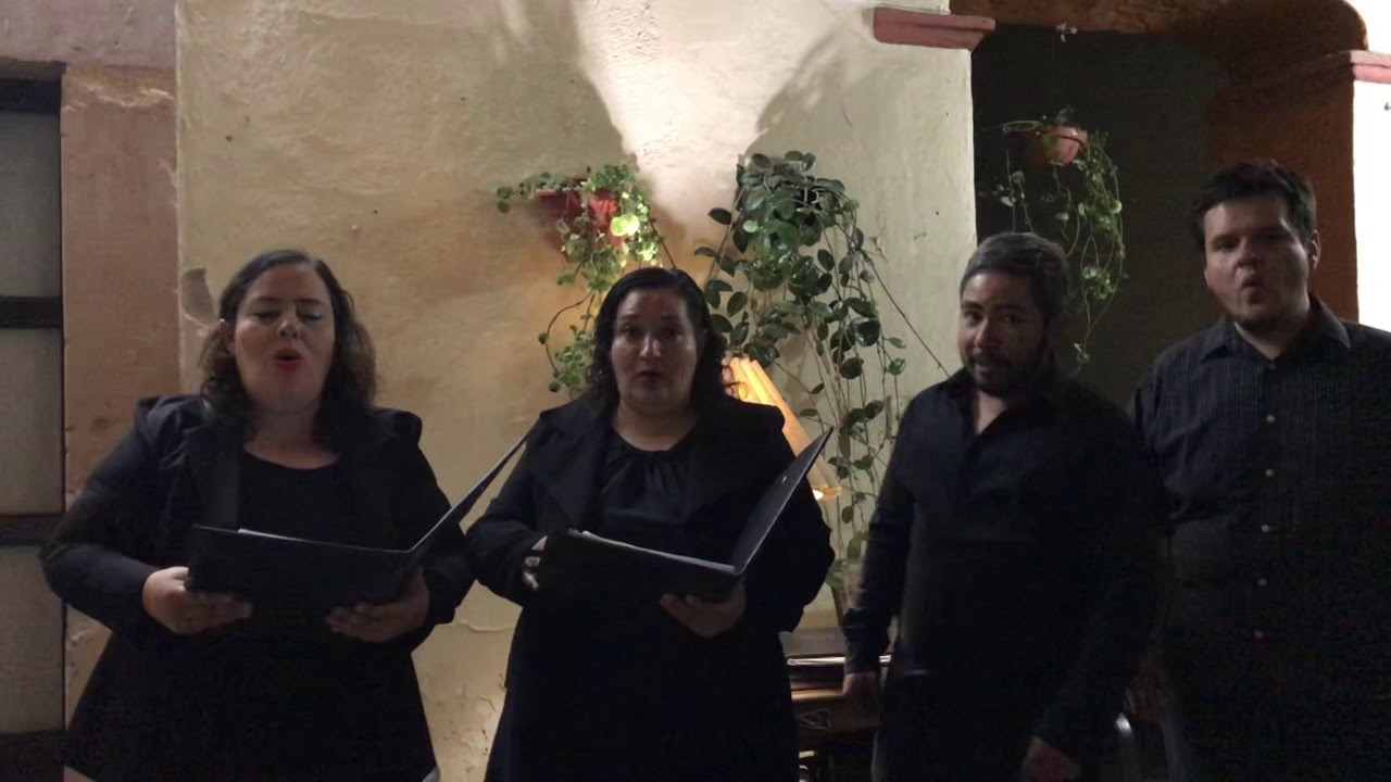 Camerata Vocal México “negrita cucurumbe” - YouTube