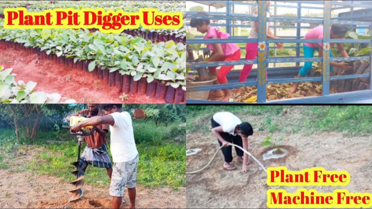 Free Free Free | Plant Pit Digger| இலவசமாக தோட்டம் அமைக்கலாம்|Tree ...