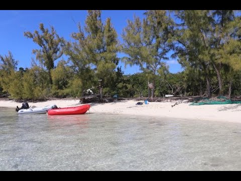 S3E7 Allen Cay - YouTube