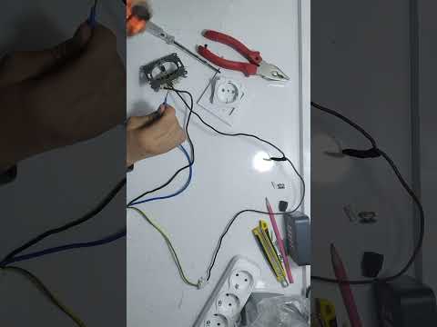 Ev pirizi nasıl toplanır. Ev pirizinde nelere dikat edilmeli hepsi bu videomda 