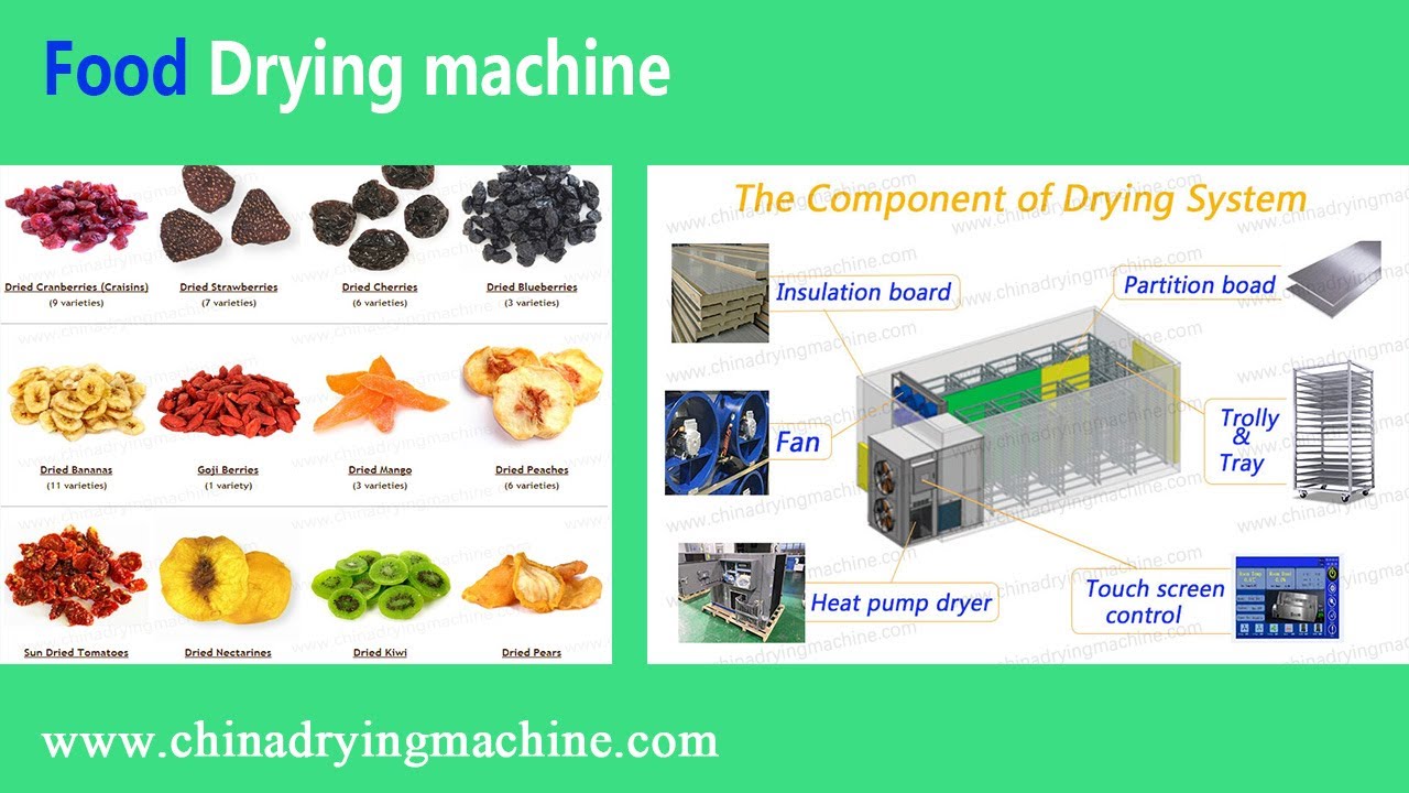 Decrypt the Working Principle of Food Drying Machine - YouTube