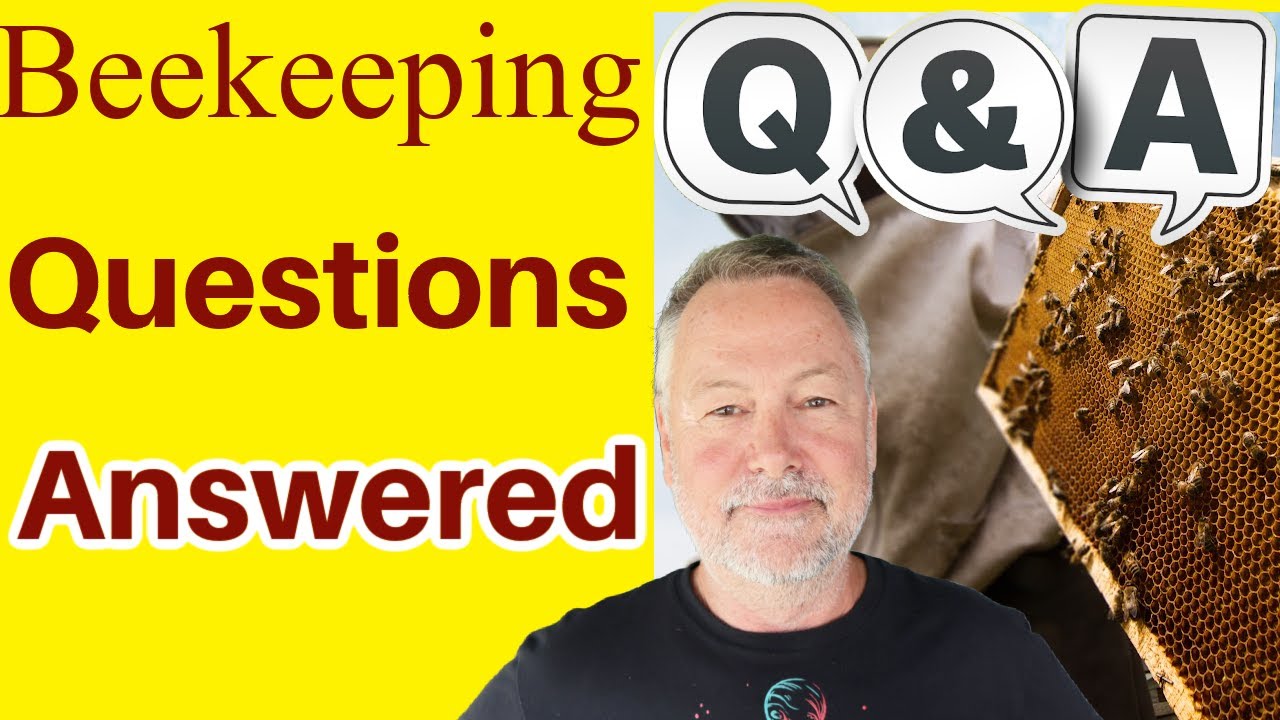 Beekeeping Questions & Answers | Mites, Feeding, Winter - YouTube