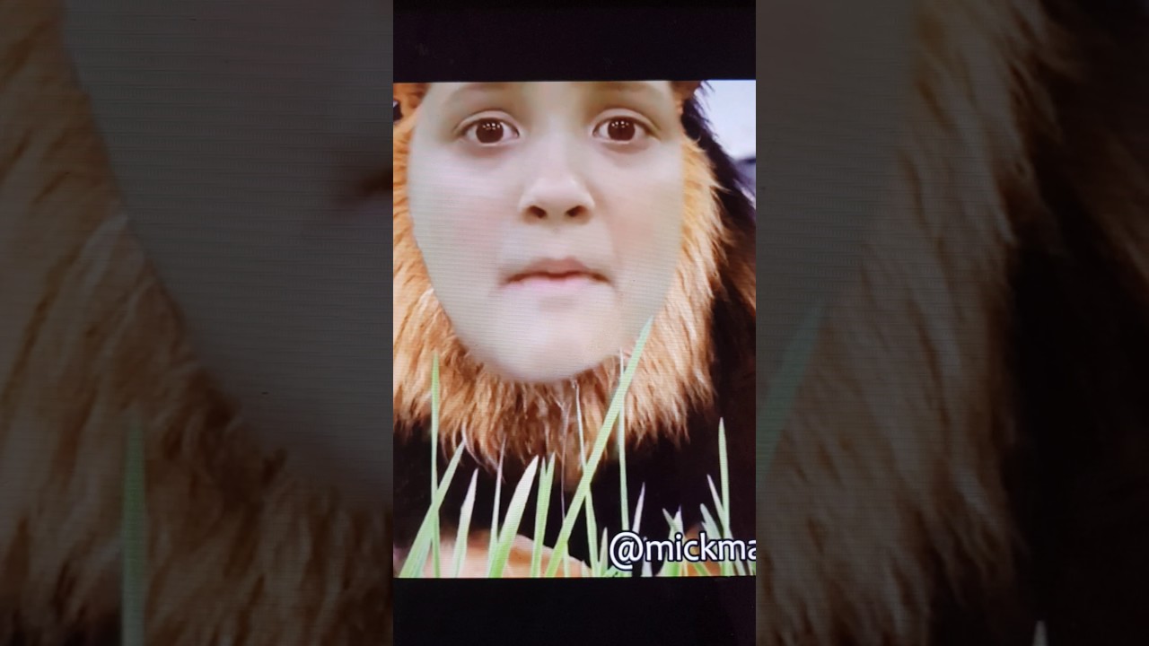 MUSICAL.LY COMPILATION FUNnel Vision SKITS w/ Mike & lex & Chase (FUNNY ...