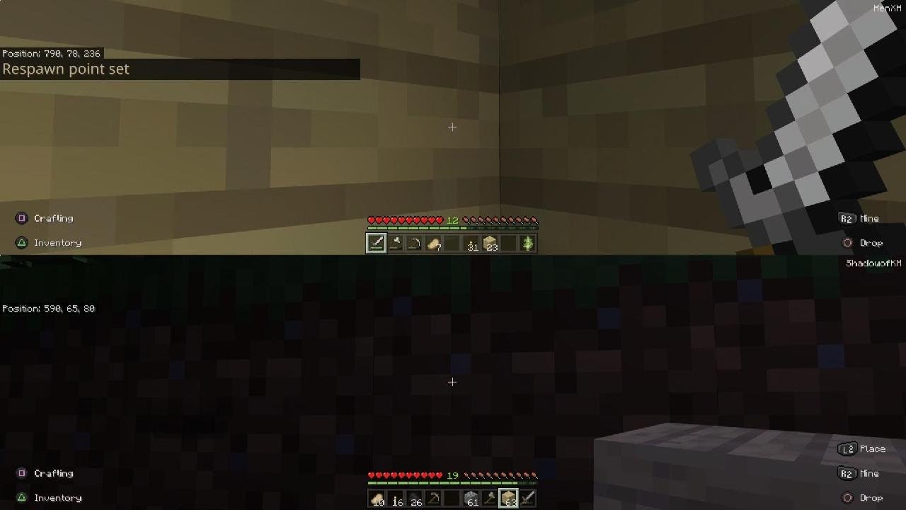 Rare pink sheep FIND Minecraft split -screen PS5 - YouTube