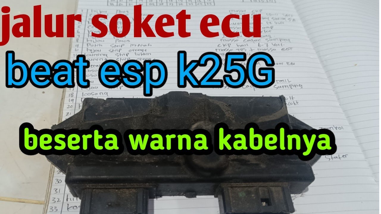 Jalur dan warna soket ecu beat esp k25 - YouTube