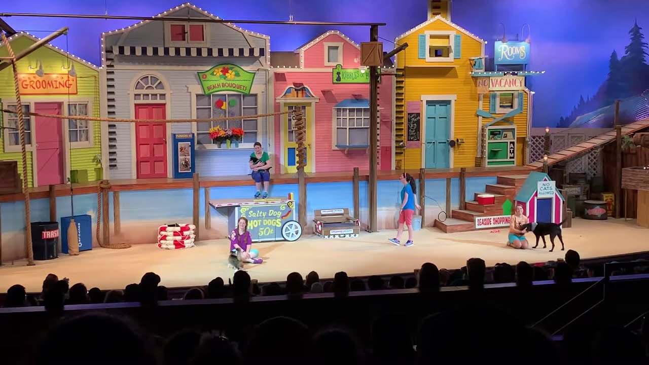Pets Ahoy - Sea World San Antonio HD video (full show) 05/25/19 - YouTube