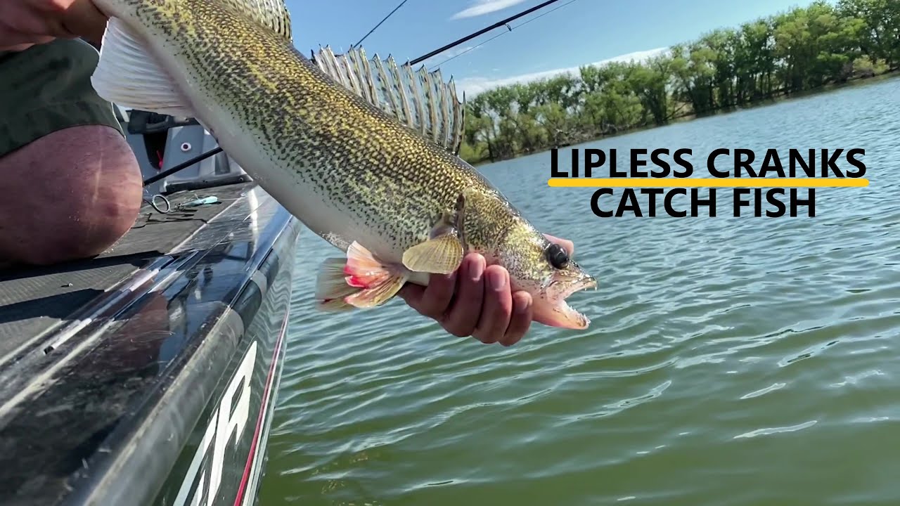 Greatest Walleye Slay Day in Colorado - YouTube