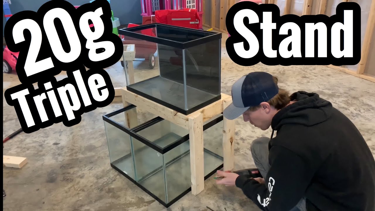 DIY Dual 20 gallon Aquarium Rack Shelf - YouTube