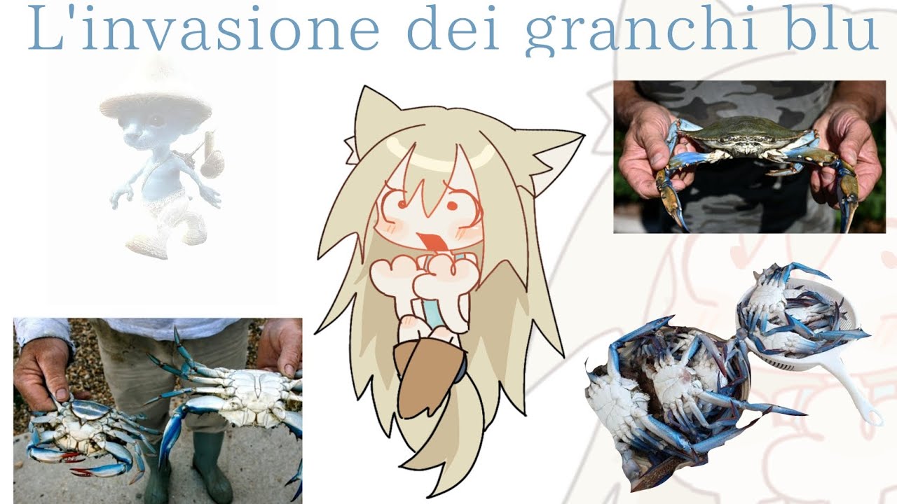 l'invasione dei granchi blu⁉️🦀|ft.@hounapiantainbalcone@Conga. - YouTube