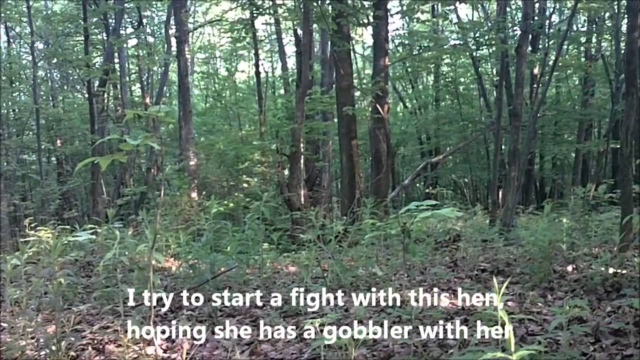 PA Spring Gobbler Season 2013 - YouTube