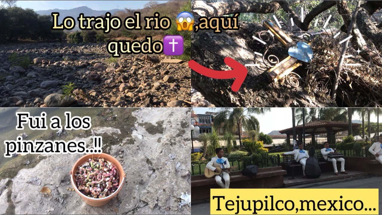 SE LO TRAJO 😱EL RIO...!!cortando 😉pinzanes...#tejupilco #paisajenatural ...
