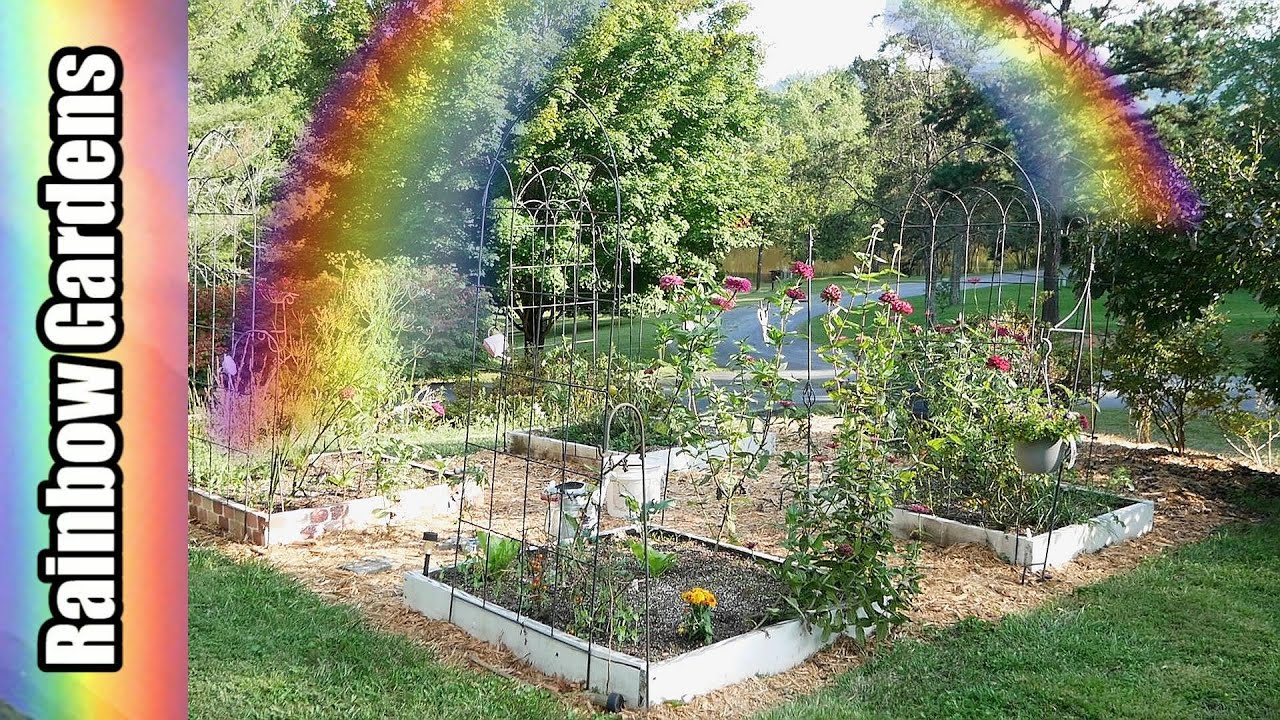 The Square Foot Garden in September! Small Space Gardening - YouTube