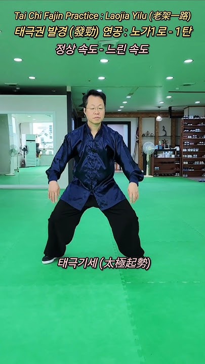 태극권 발경(發勁) 연공 : 노가1로 - 1탄 : 정상 속도 - 느린 속도 : Tai Chi Fajin Practice: Laojia Yilu - Part 1 - YouTube