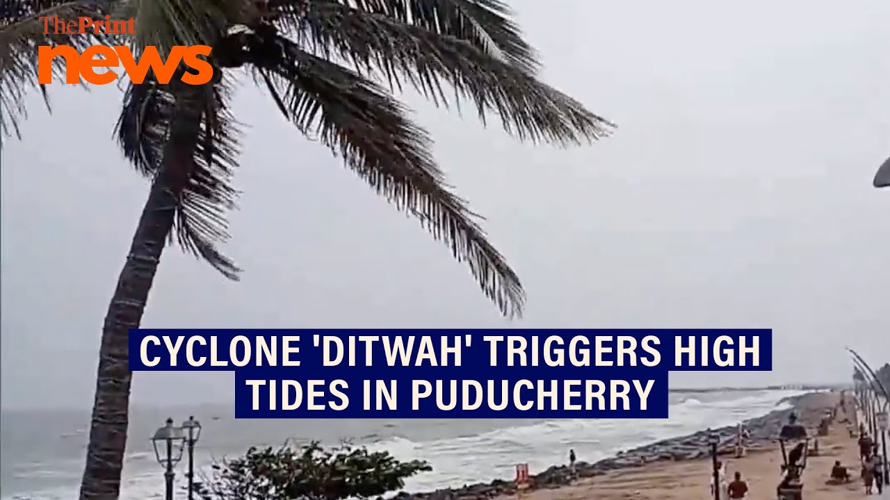 Cyclone 'Ditwah' triggers gusty winds and high tides in Puducherry ...