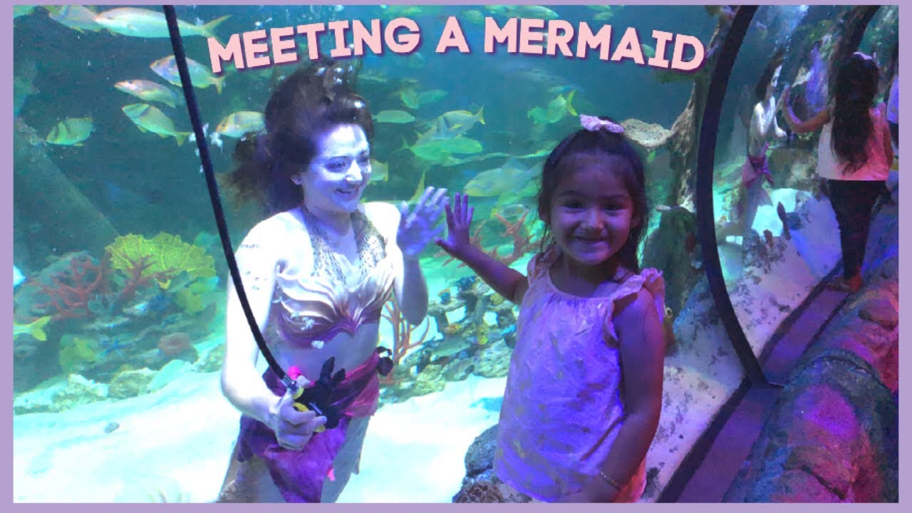 Meeting A Mermaid 🧜🏻‍♀️ | Sea Life Aquarium - YouTube