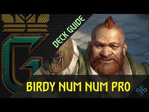 Birdy Num Num Pro Deck Guide - Gwent - YouTube