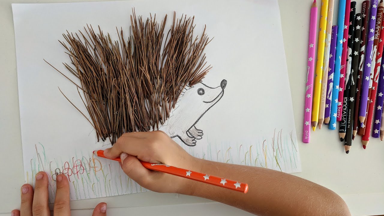 Curiozitati despre arici (+craft) - YouTube