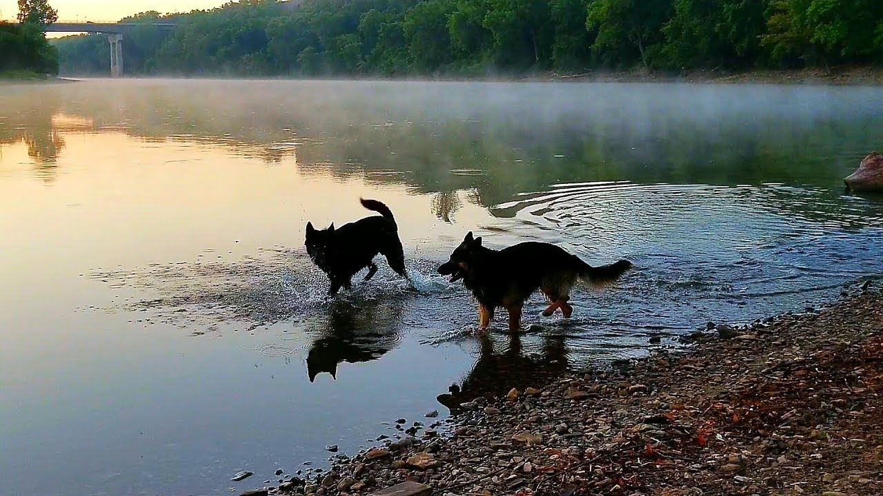 Paradise Off Leash Hike (2 of 3) - YouTube