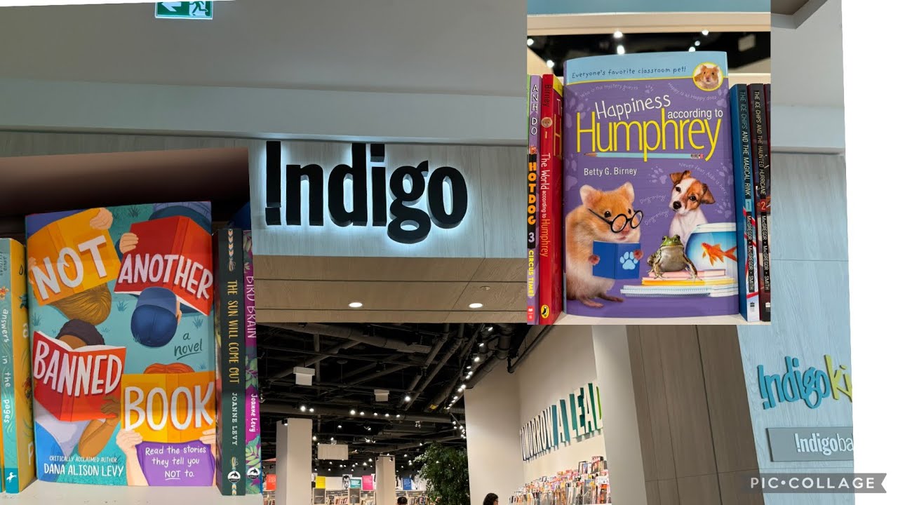 Book shopping at Indigo - YouTube