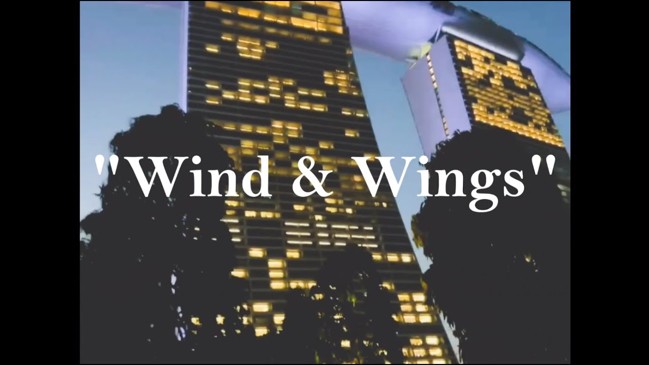 Iposhi2 & Lyra Faye - wind and wings(my wind) [lyric video] - YouTube