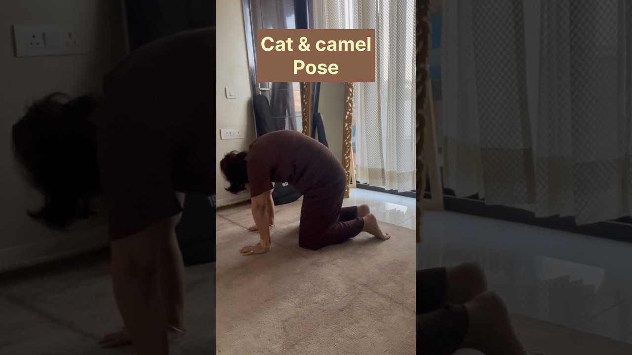 Cat & Camel Pose || मार्जरीआसन - YouTube