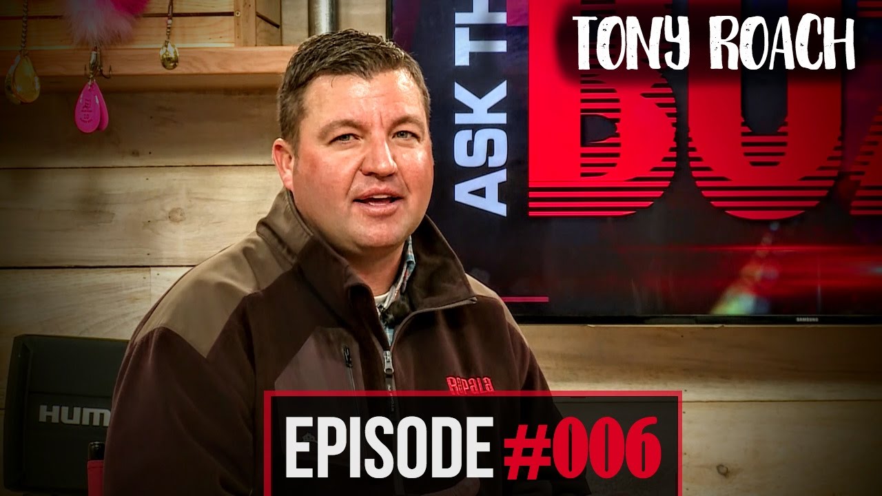 Fall Weeds, Jigging Rap Tips & Crankbait Colors with Tony Roach - # ...