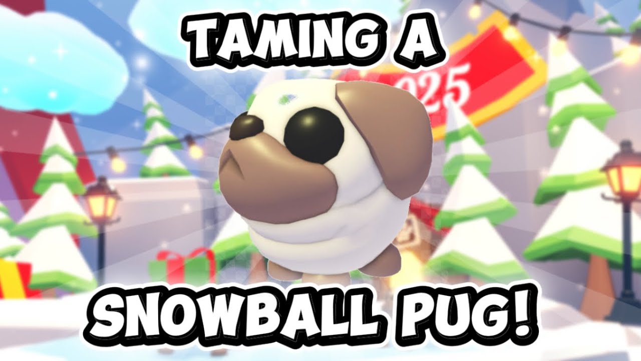 TAMING a SNOWBALL PUG! Adopt Me! - YouTube