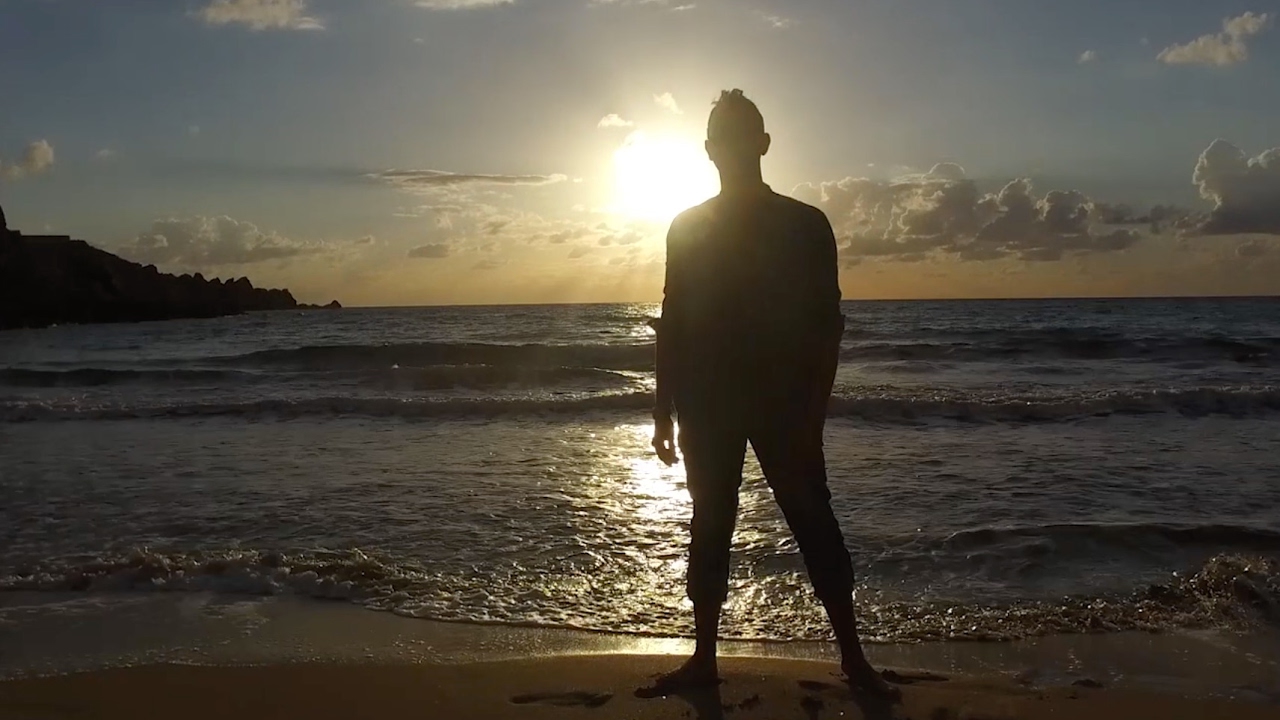 Alex Fortin - Estate Negramaro Cover - YouTube