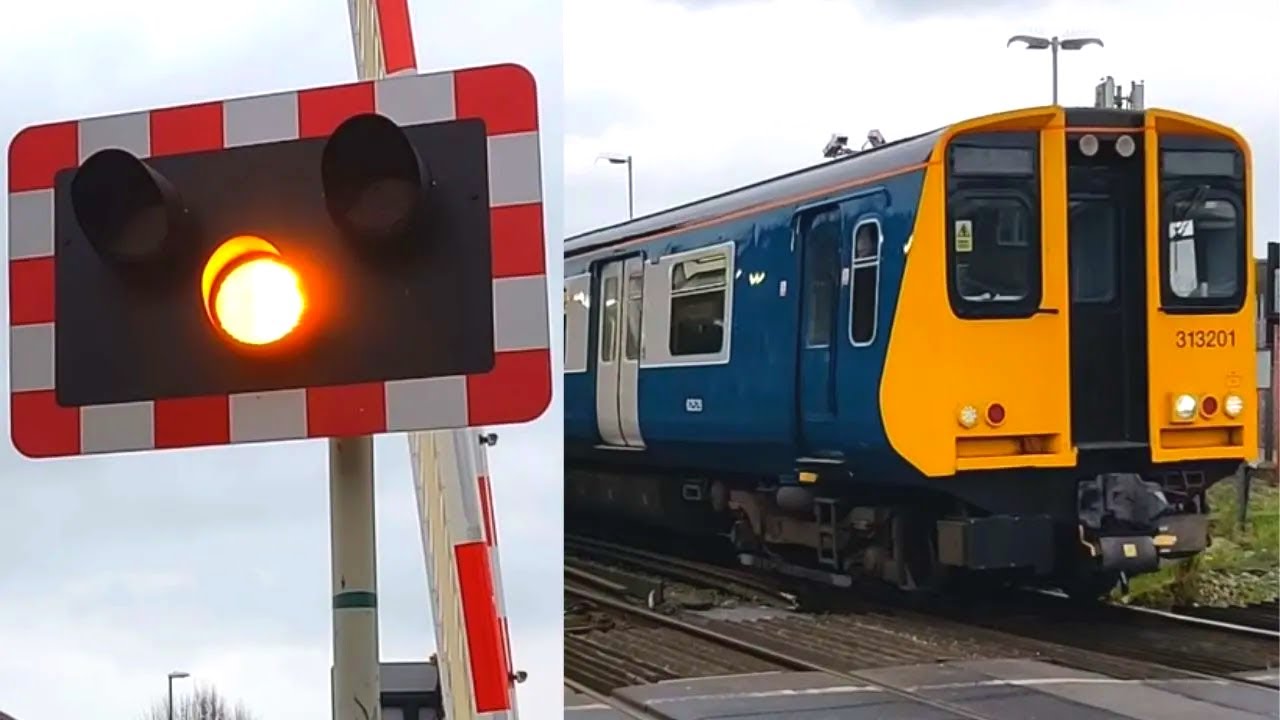 Class 313 201 "BR Blue" at Angmering Level Crossing, West Sussex - YouTube