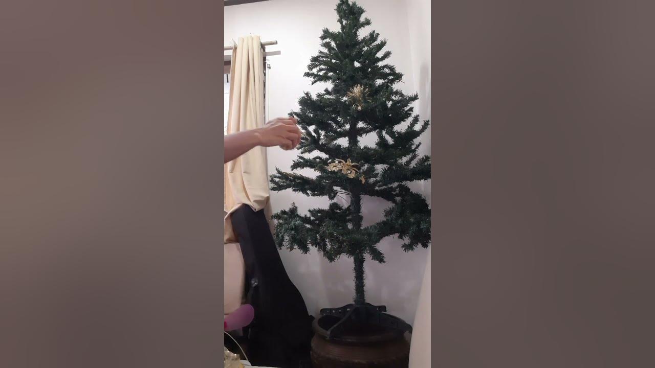 My Little Christmas Tree - YouTube