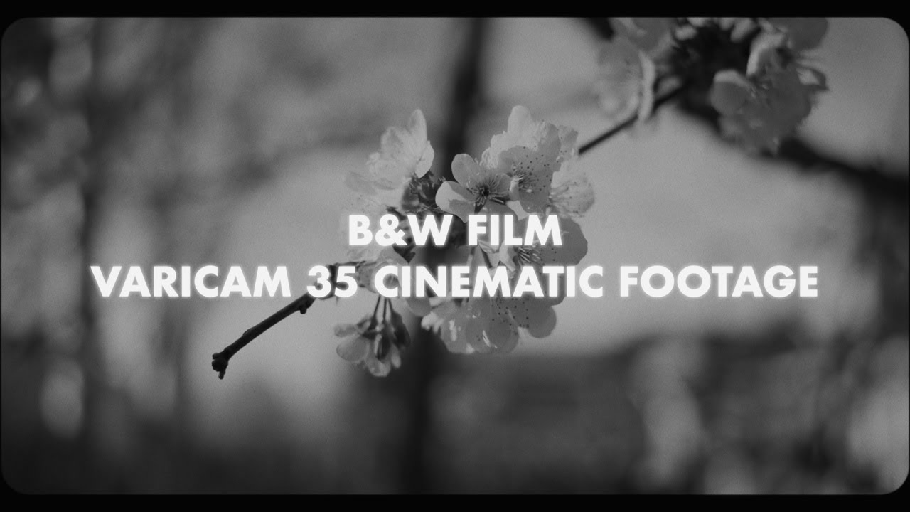 B&W FILM VARICAM 35 CINEMATIC FOOTAGE 2025 - YouTube