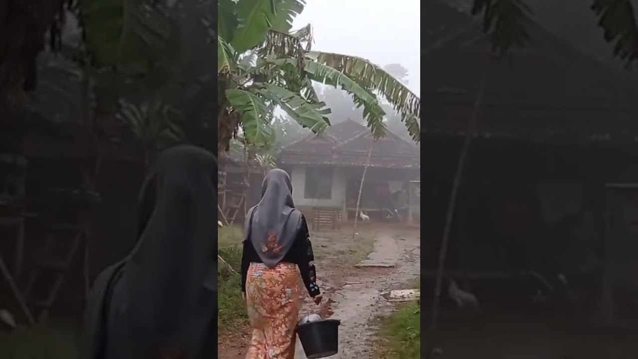 Janda Desa ,,jampang turunan kidul selalu terdepan | Suasana kabut ...
